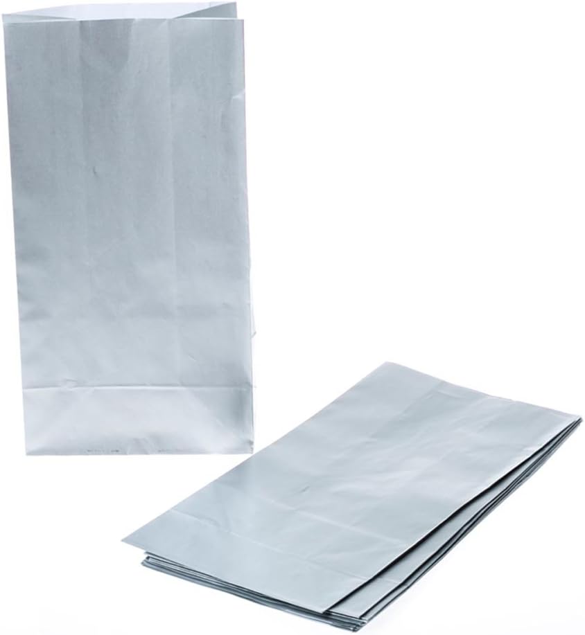 Pack of 10 Silver Metallic Paper Party Bags – Choice Wholesale