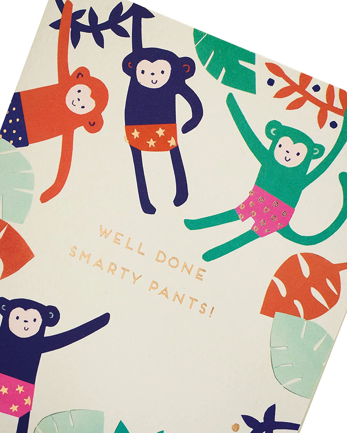 Well Done Smarty Pants! Monkey Congratulations Card– Choice Wholesale