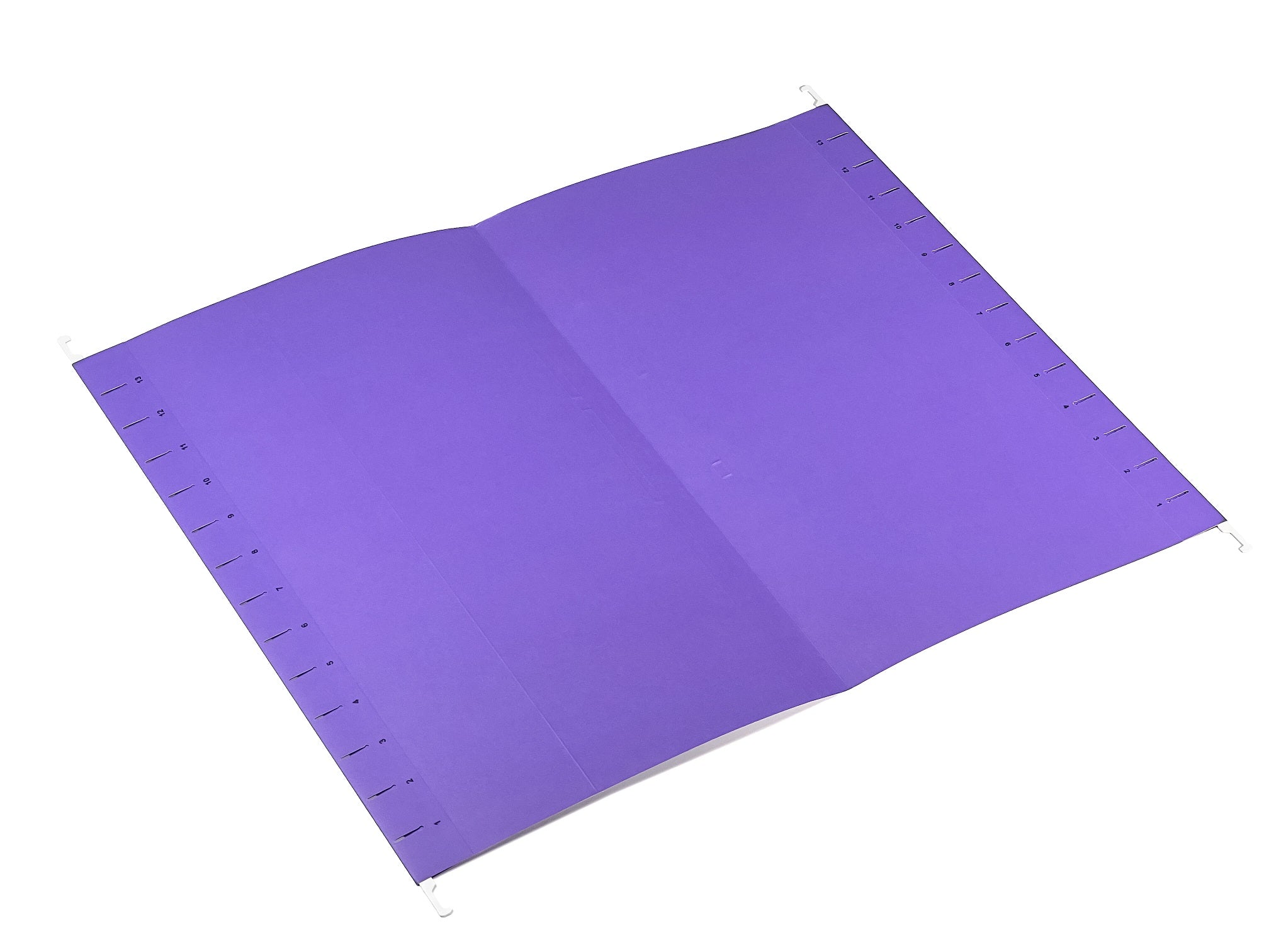 Pack of 50 Purple Foolscap Suspension Files – Choice Wholesale