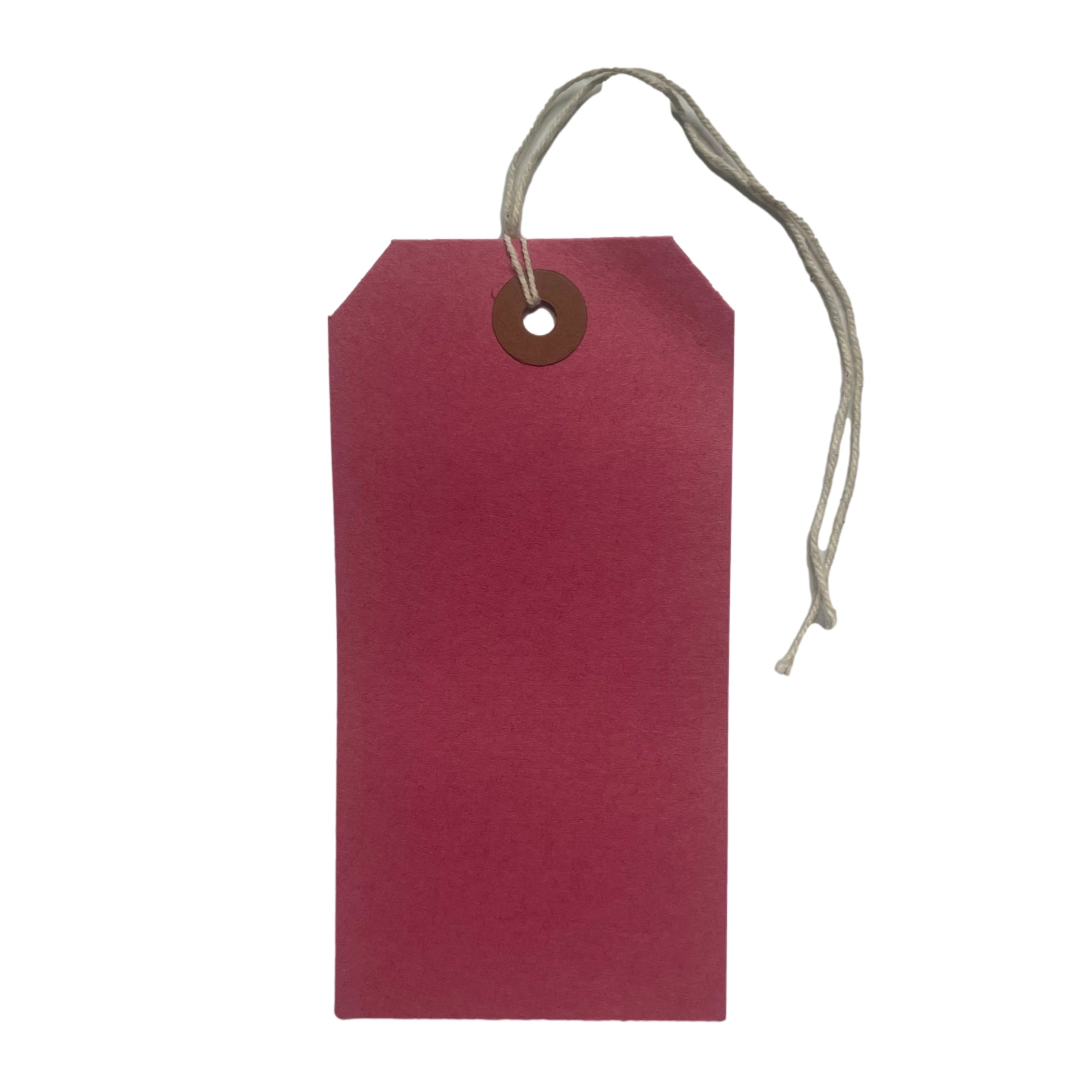 Box of 1000 120 x 60mm Red Luggage Tags– Choice Wholesale